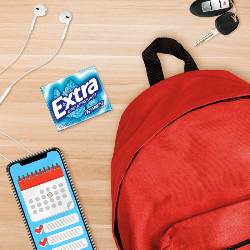 EXTRA Peppermint Sugar Free Chewing Gum, 15-Stick Single Pack | EXTRA