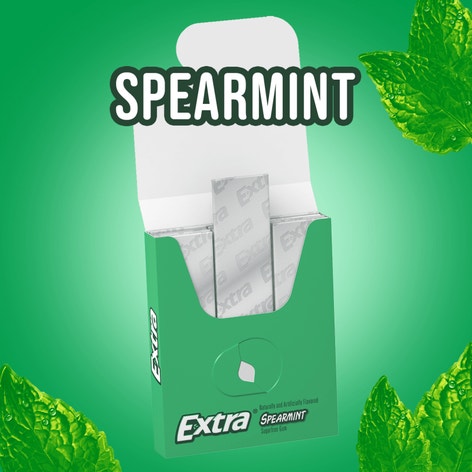 EXTRA Spearmint Sugar Free Chewing Gum, 15-Stick Single Pack | EXTRA