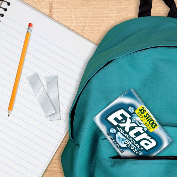 EXTRA Polar Ice Sugarfree Chewing Gum, 35-Stick Mega Pack | EXTRA