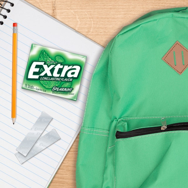 EXTRA Spearmint Sugar Free Chewing Gum, 15-Stick Single Pack | EXTRA